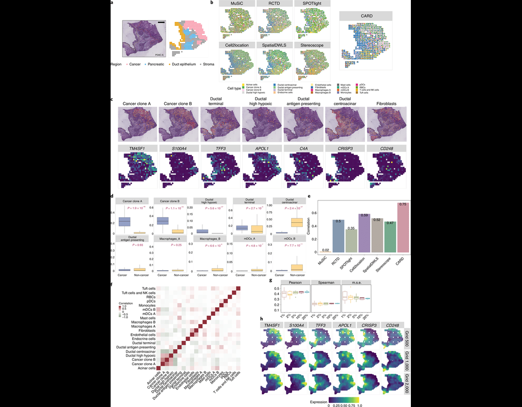 Deep Learning And Alignment Of Spatially Resolved Single Cell